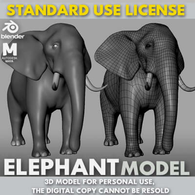 Elephant - Topology UV Map 3D Model by Tsering
