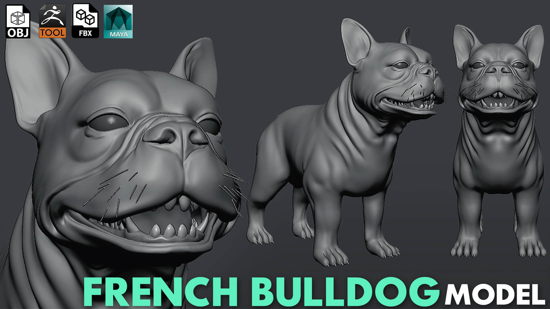 French Bulldog - 3D Model by Tsering