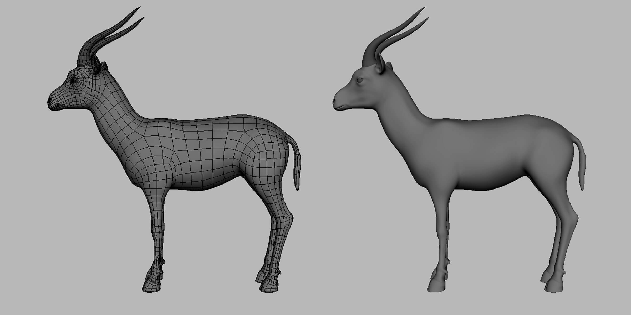 Gazelle - Topology + UV Map 3D Model by Tsering
