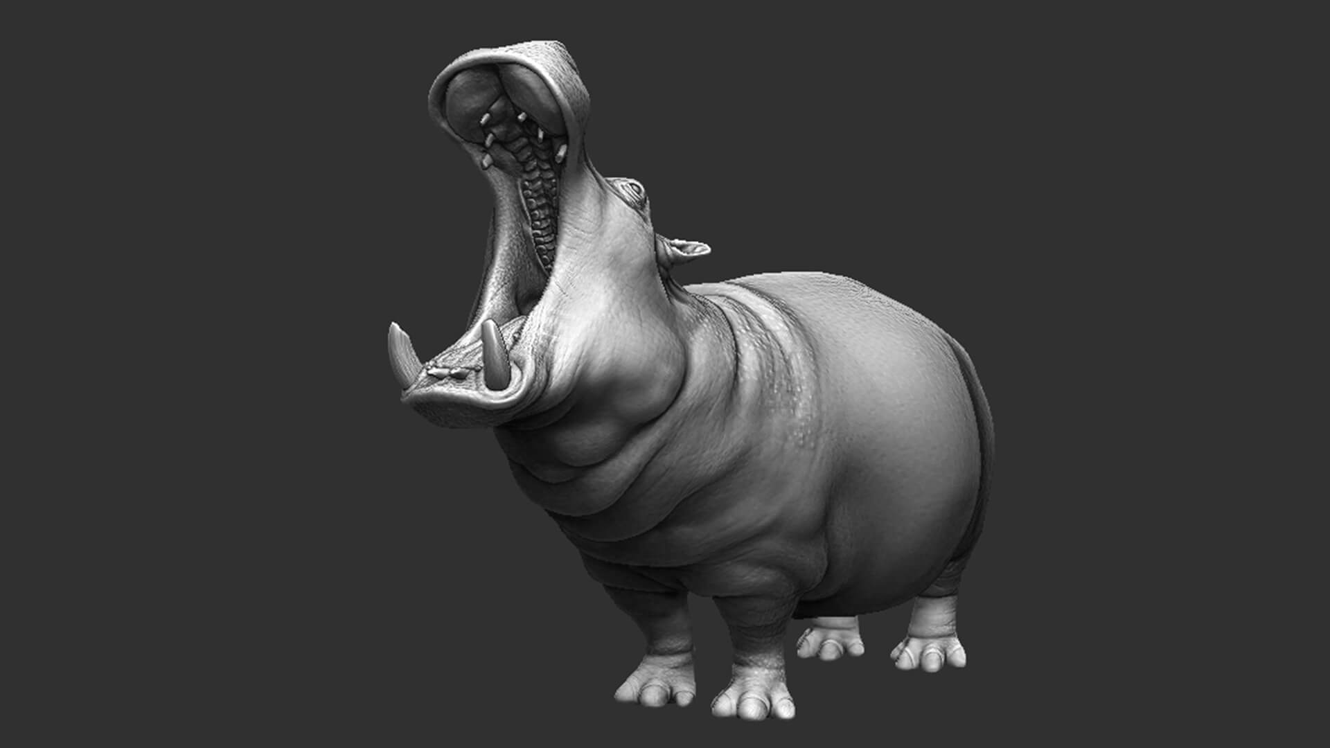 Hippopotamus - 3D Model by Tsering