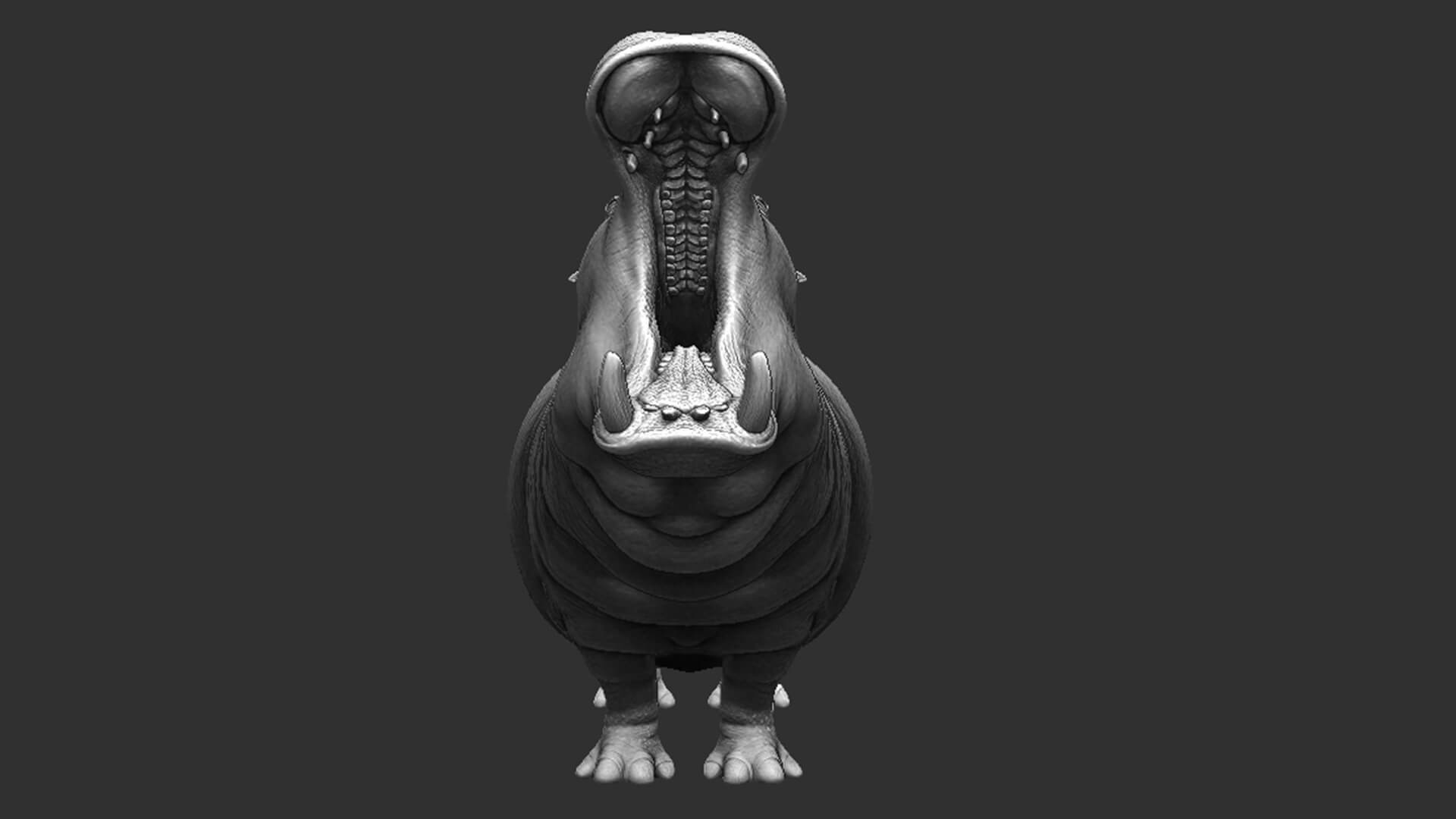 Hippopotamus - 3D Model by Tsering