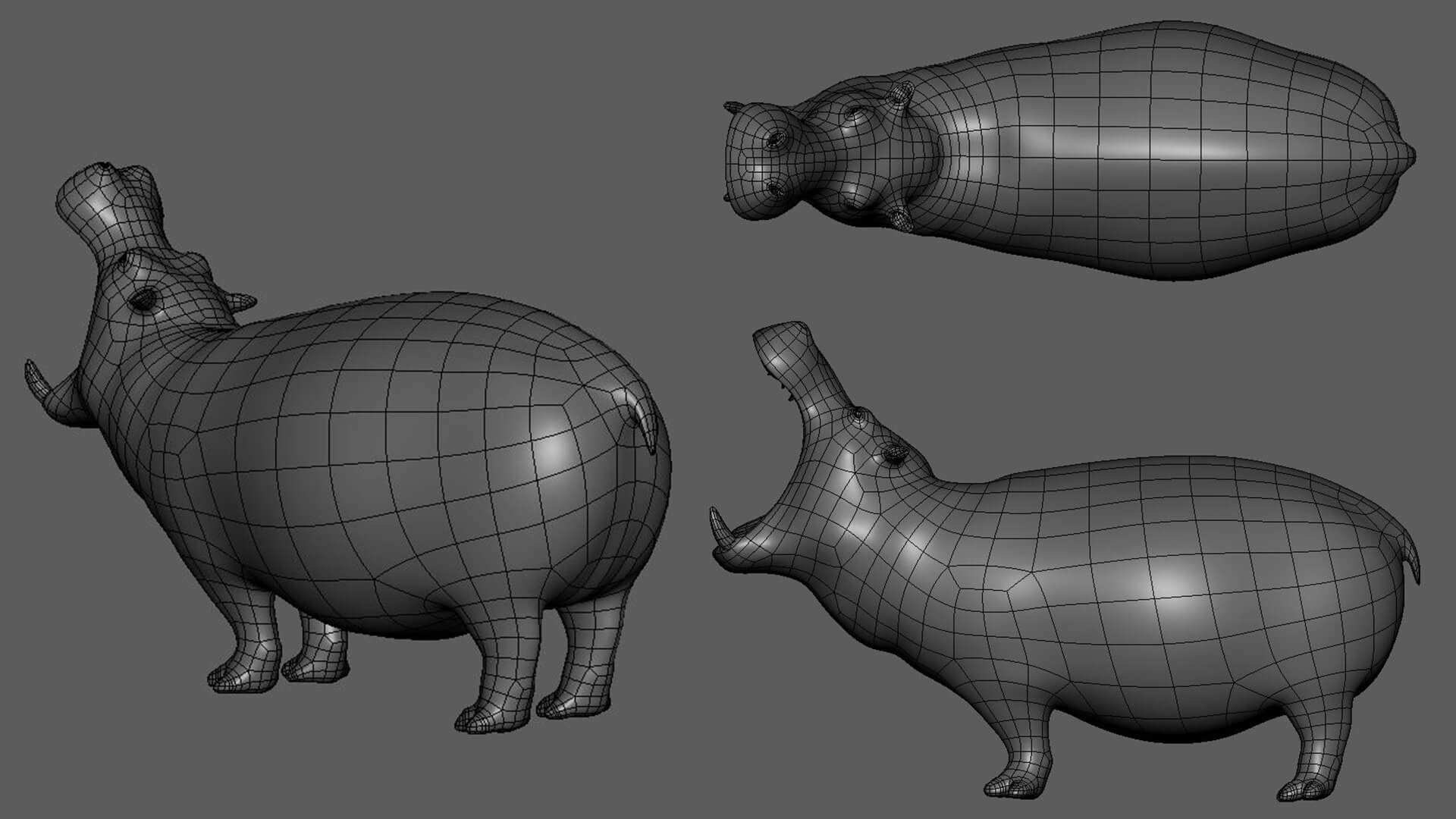 Hippopotamus - 3D Model by Tsering