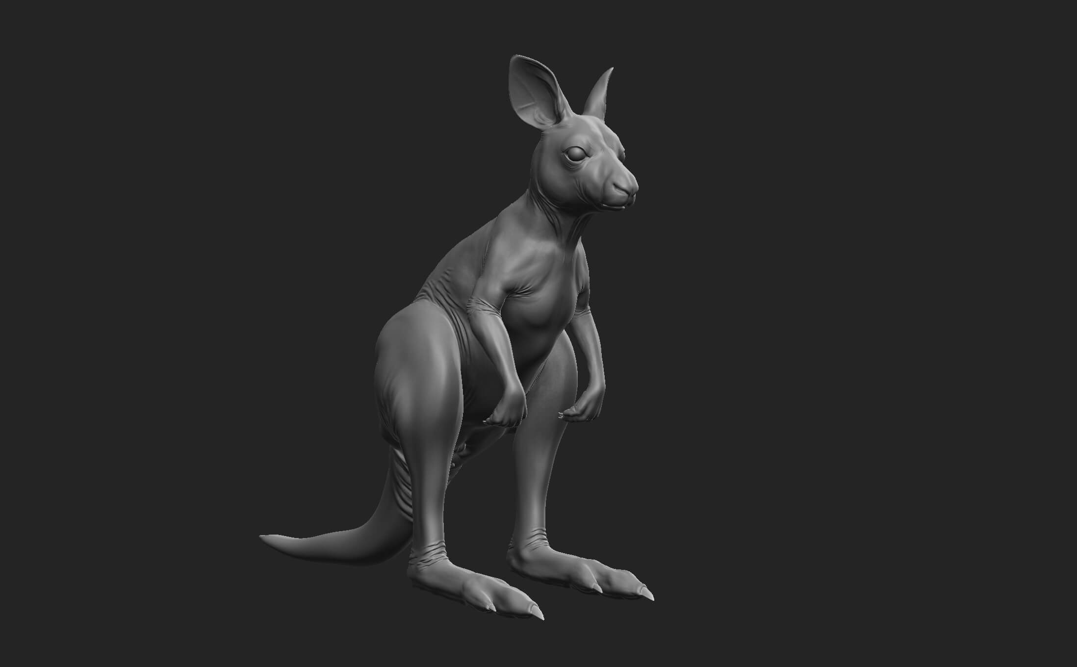 Kangaroo Family by Tsering