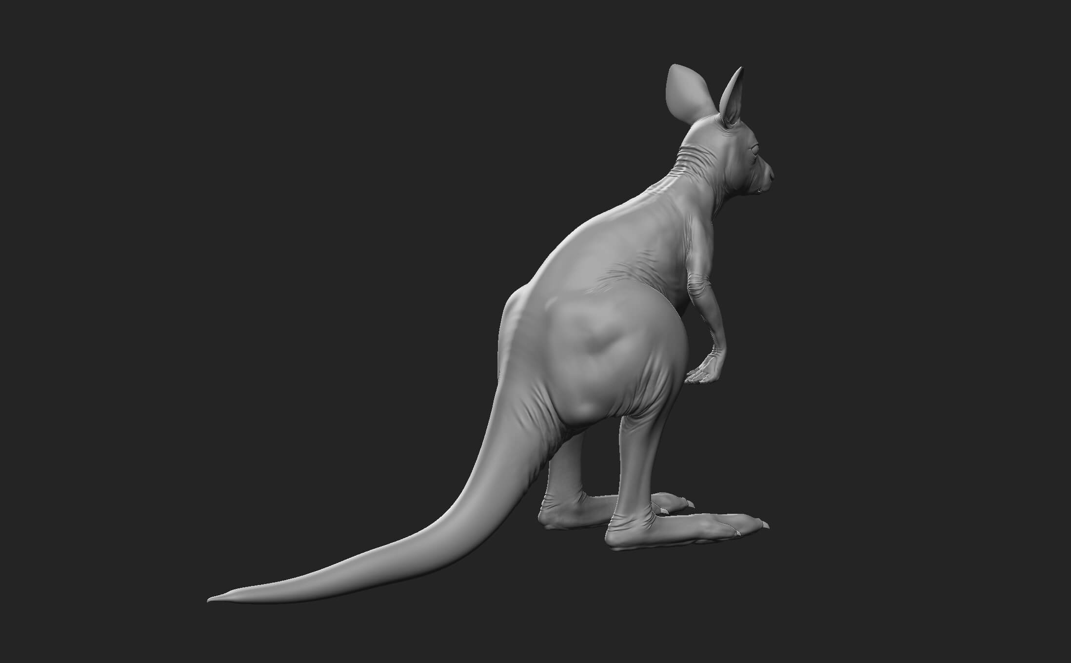 Kangaroo Family by Tsering