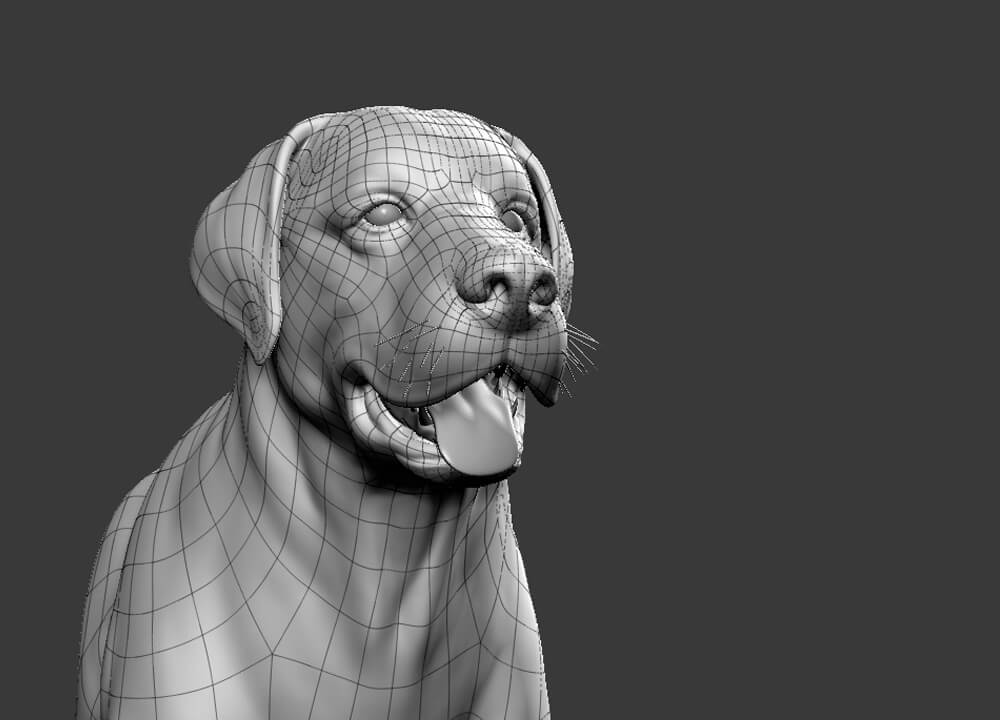 Labrador Dog - 3D Model by Tsering