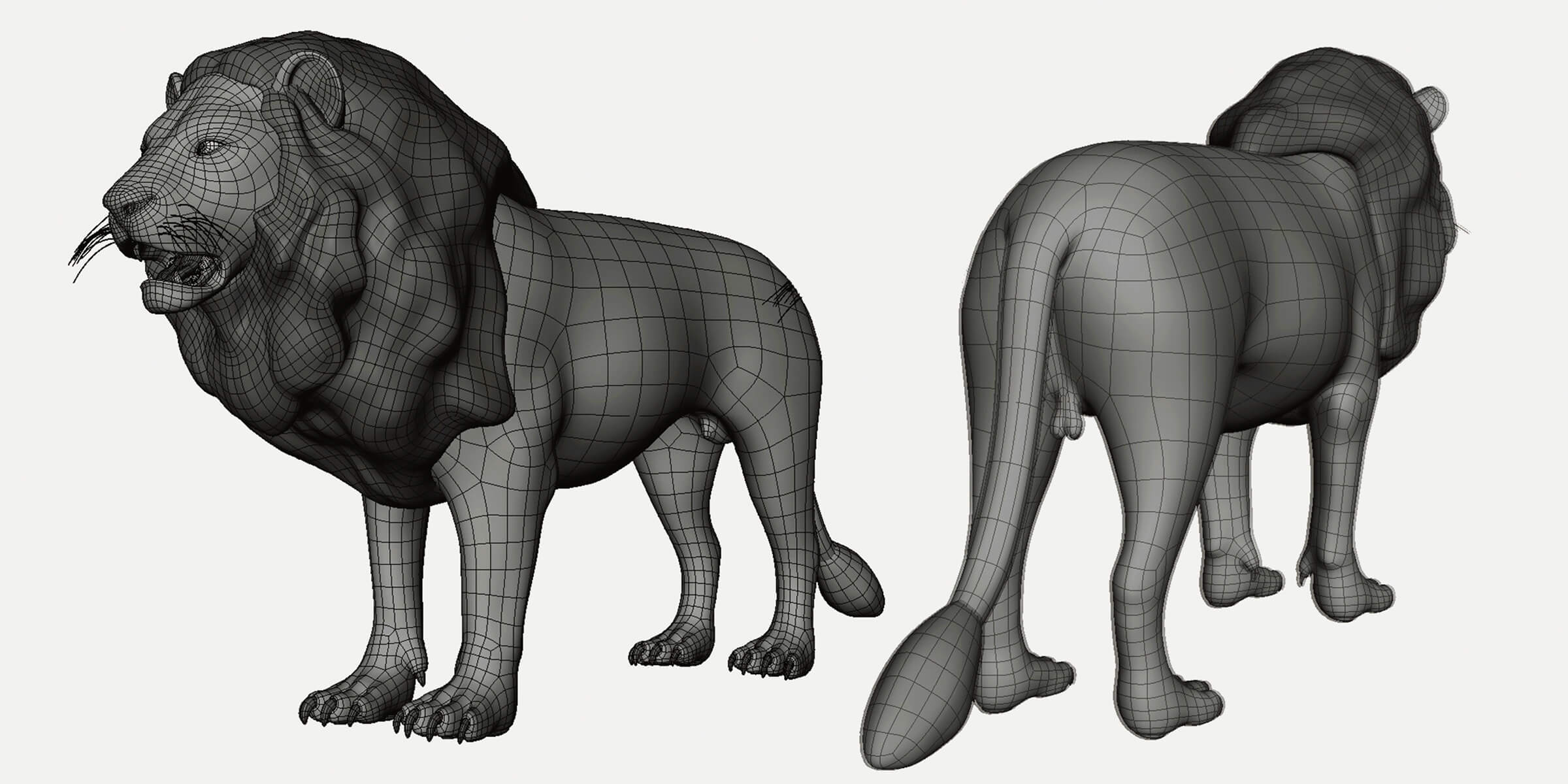 Lion Basemesh - Topology + UV Map 3D Model by Tsering