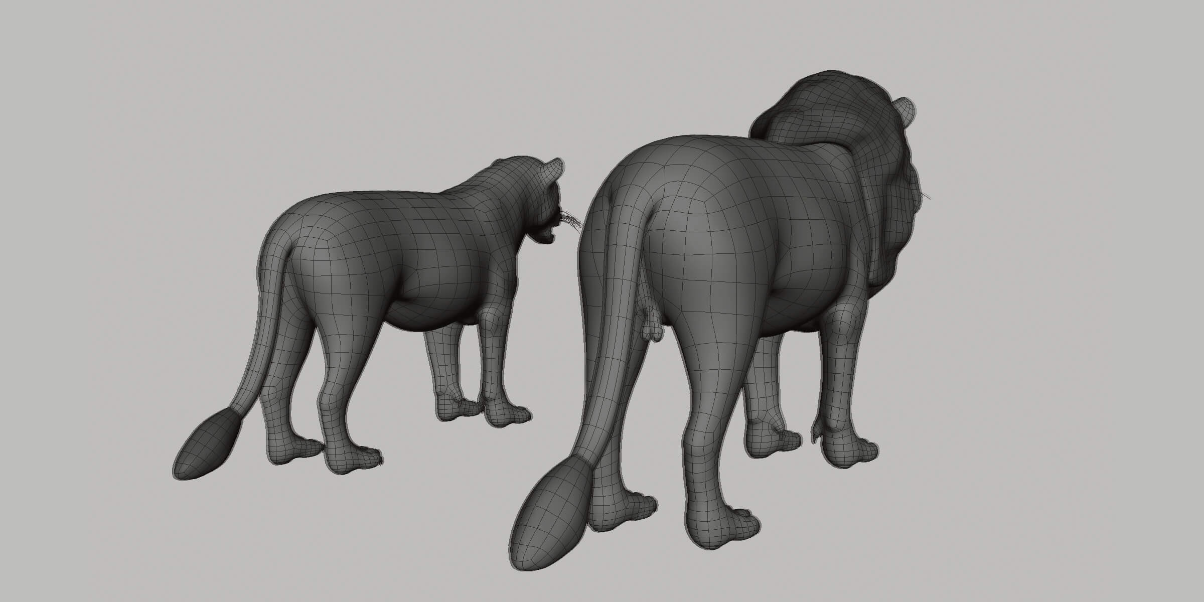 Lion Couple - Topology + UV Map 3D Model by Tsering