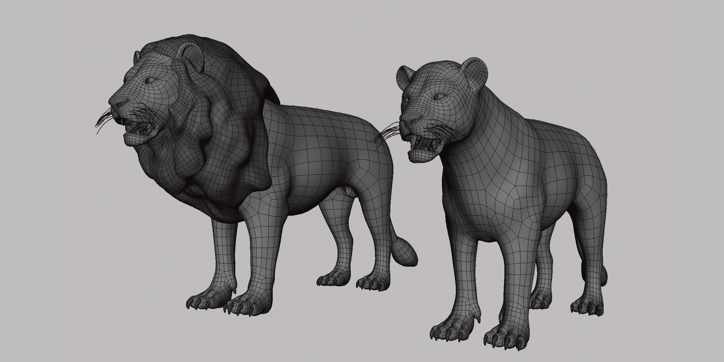 Lion Couple - Topology + UV Map 3D Model by Tsering