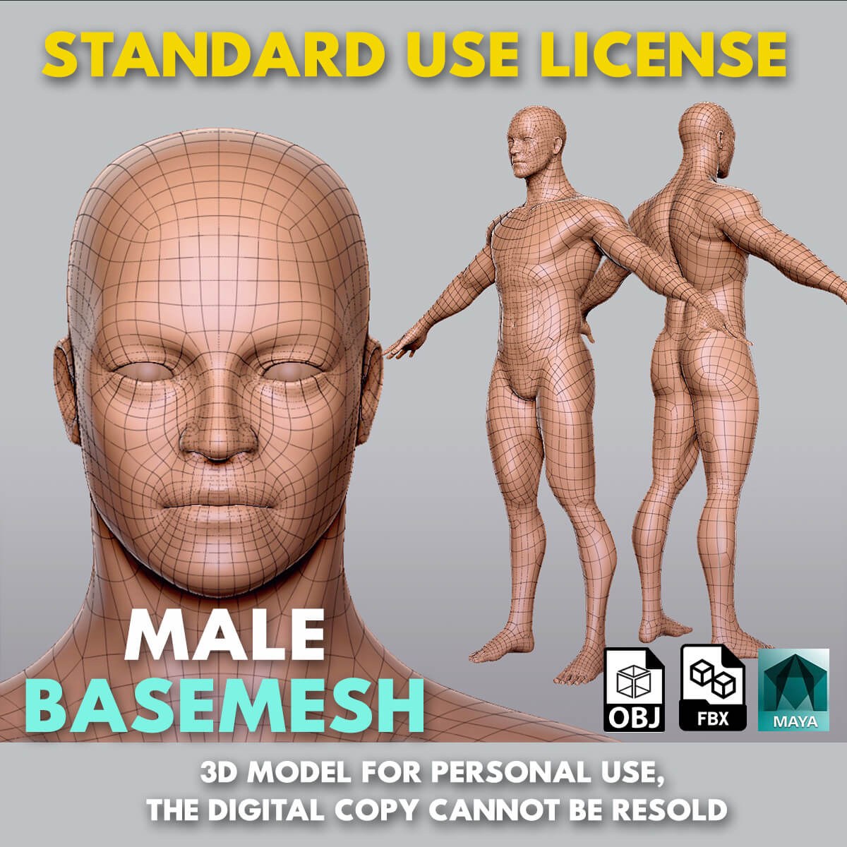 Male & Female Basemesh by Tsering