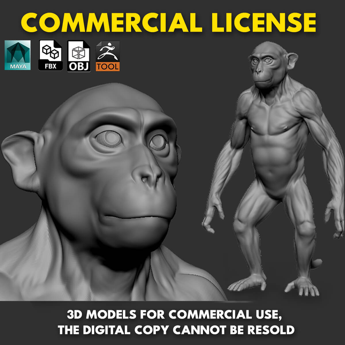 Monkey Sculpt - 3D Model by Tsering
