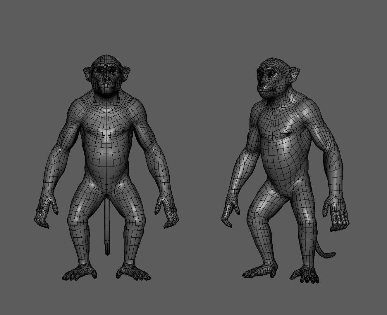 Monkey Sculpt - 3D Model by Tsering