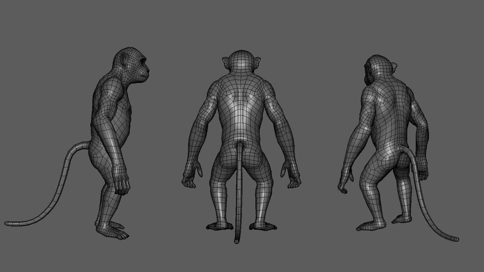 Monkey Sculpt - 3D Model by Tsering