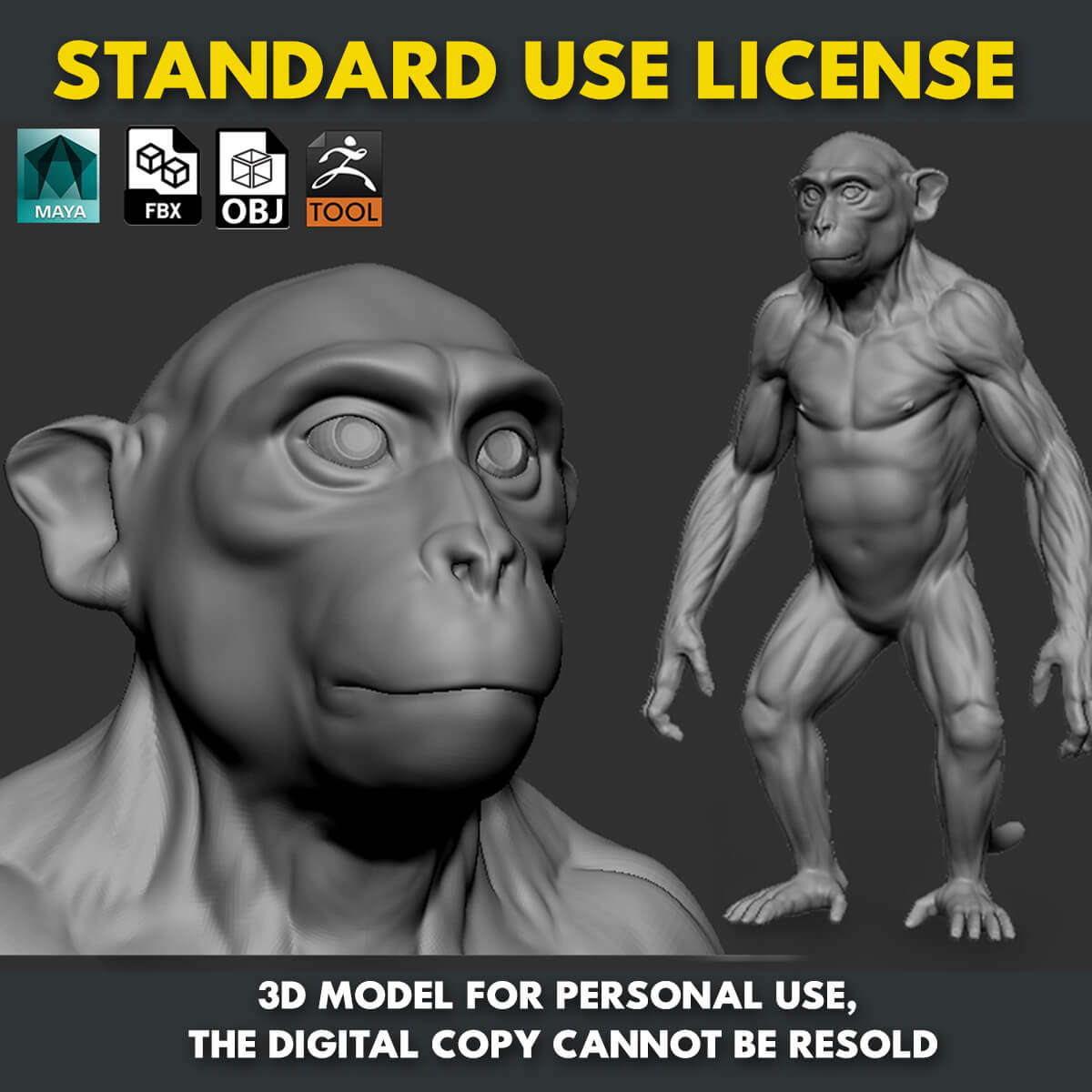 Monkey Sculpt - 3D Model by Tsering