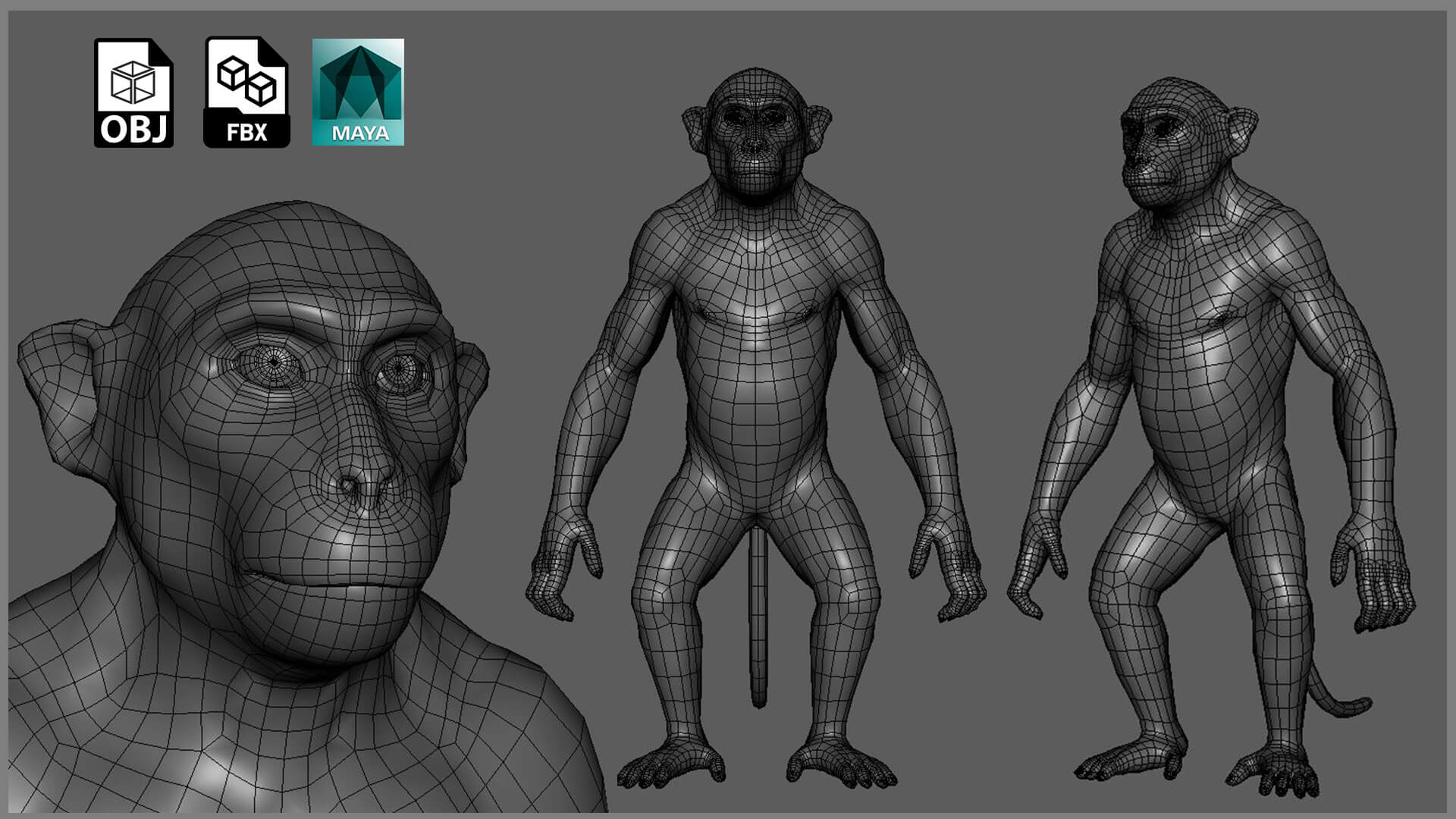 Monkey Sculpt - 3D Model by Tsering