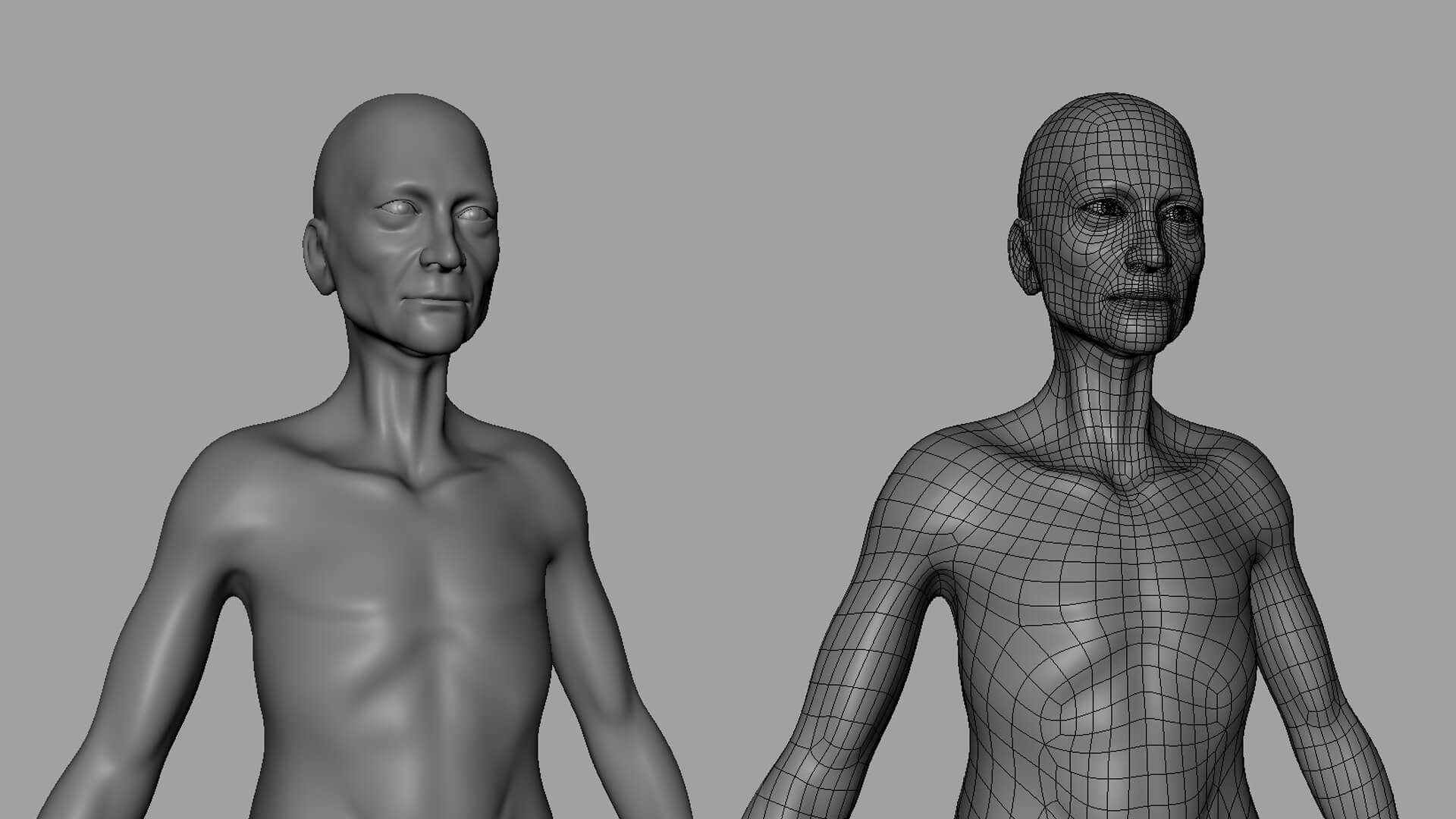 Old Male Anatomy Basemesh - Topology + UV Map 3D Model by Tsering