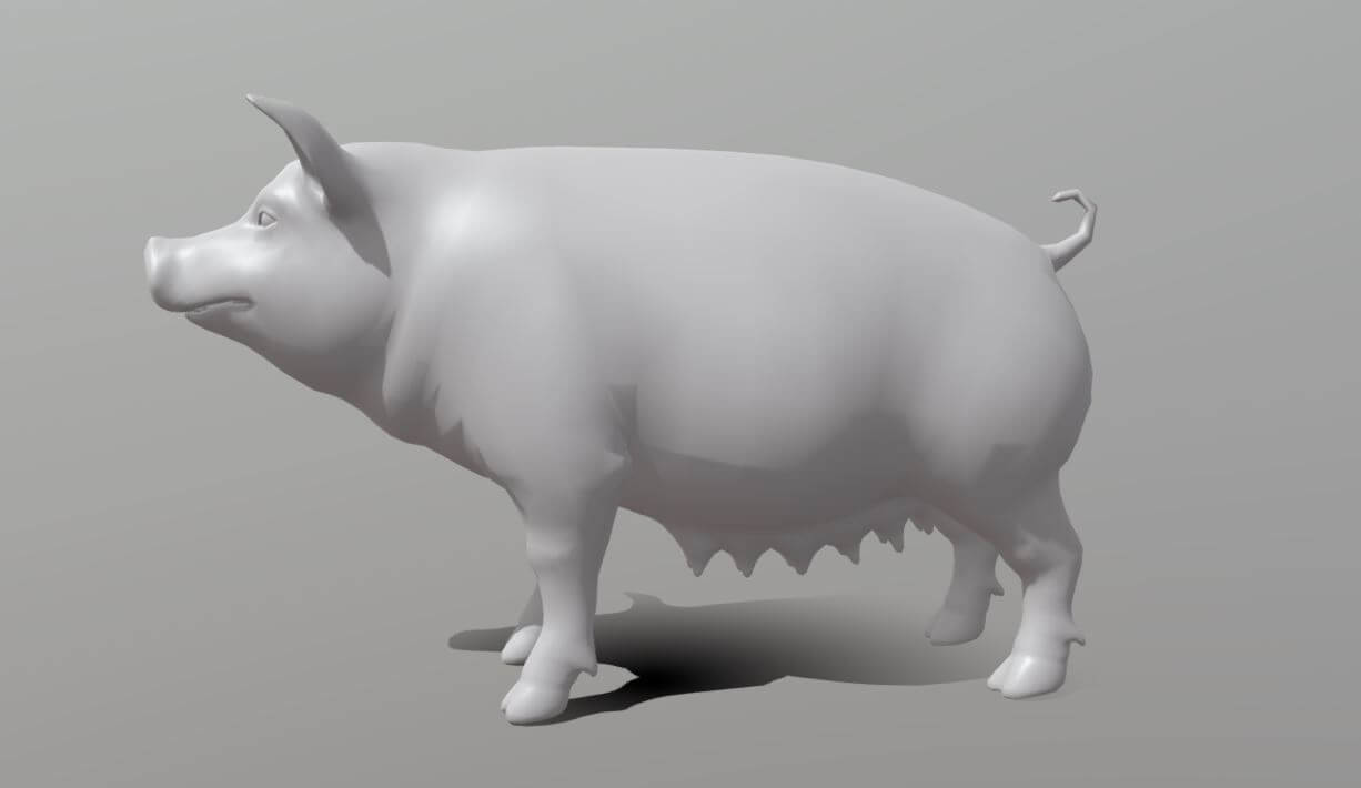 Pig Female Basemesh - 3D Model by Tsering