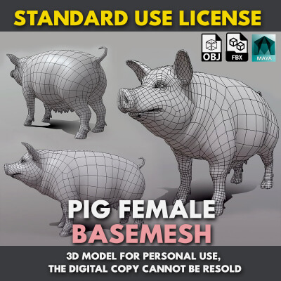 Pig Female Basemesh - 3D Model by Tsering