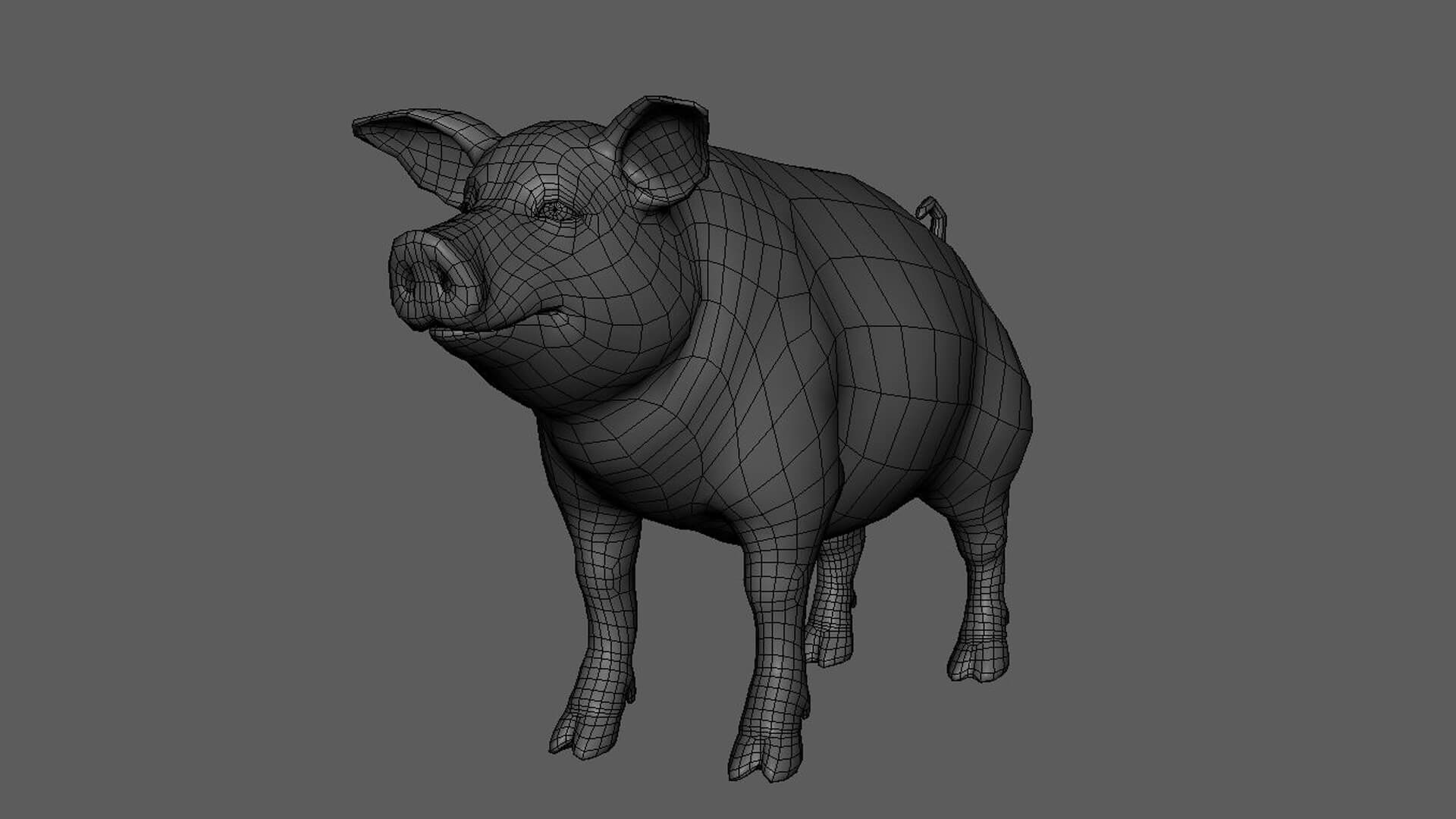 Pig Male Basemesh - 3D Model by Tsering
