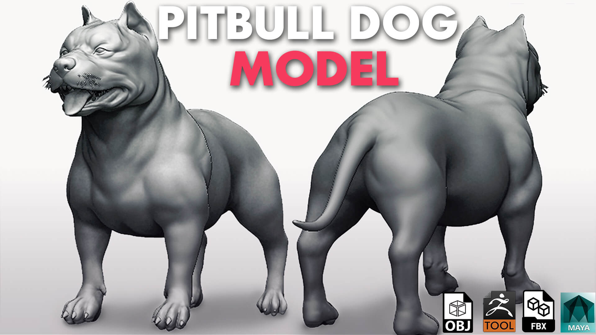 Pitbull Dog Sculpt - 3D Model by Tsering