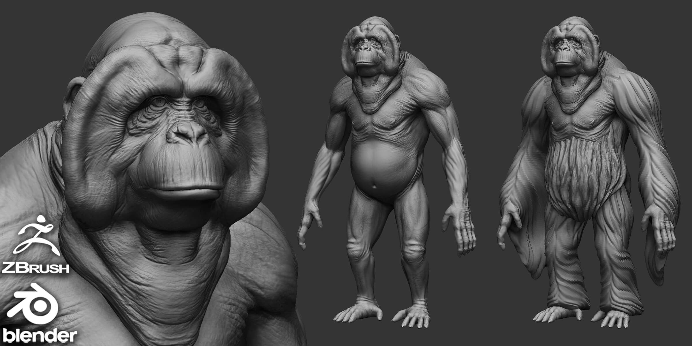 Primate Pack ( Chimp, Monkey, Gorilla, Orangutan) - 3D Model by Tsering