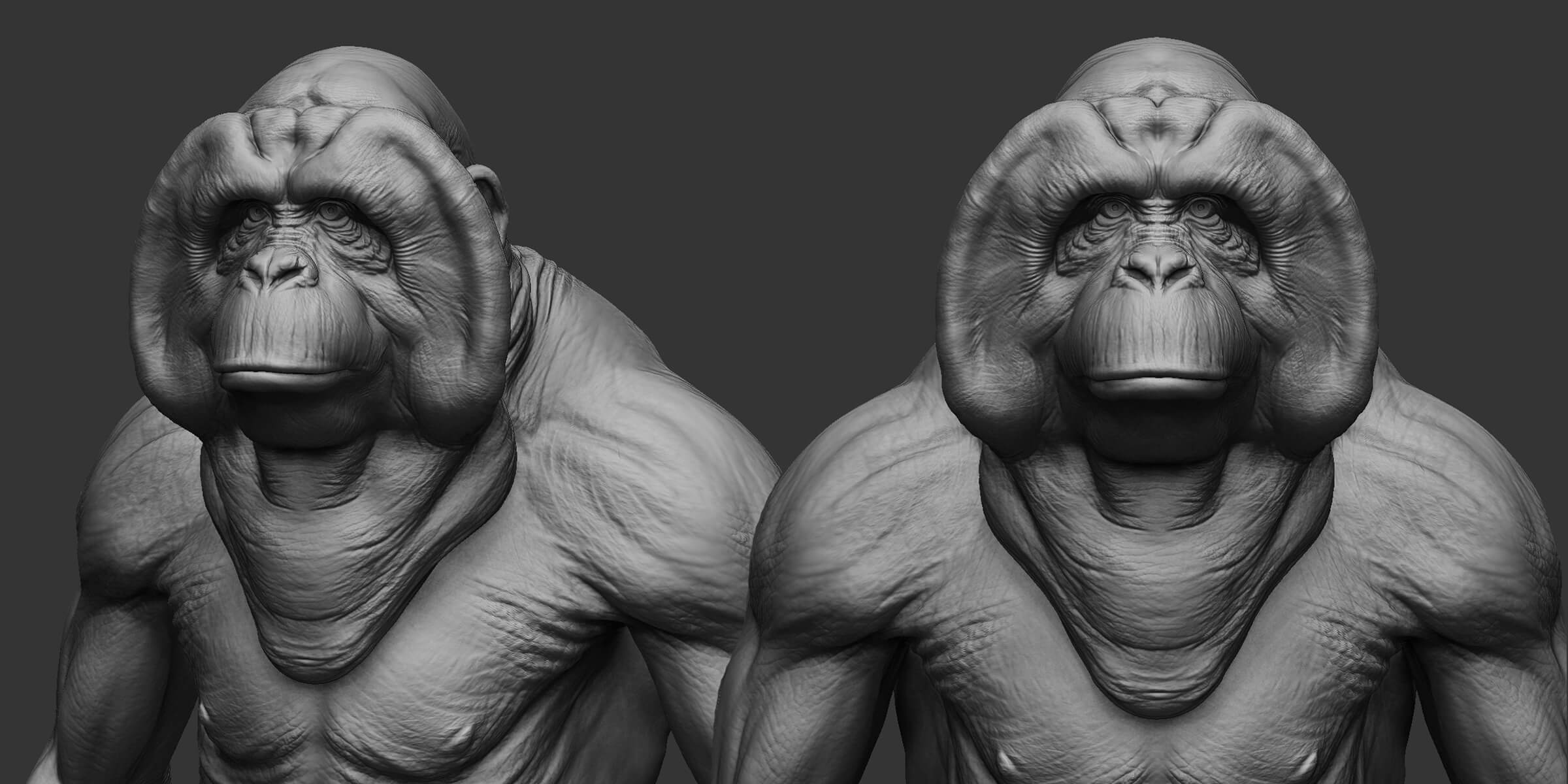 Primate Pack ( Chimp, Monkey, Gorilla, Orangutan) - 3D Model by Tsering