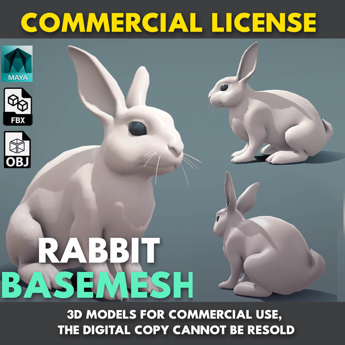 Rabbbit Model by Tsering