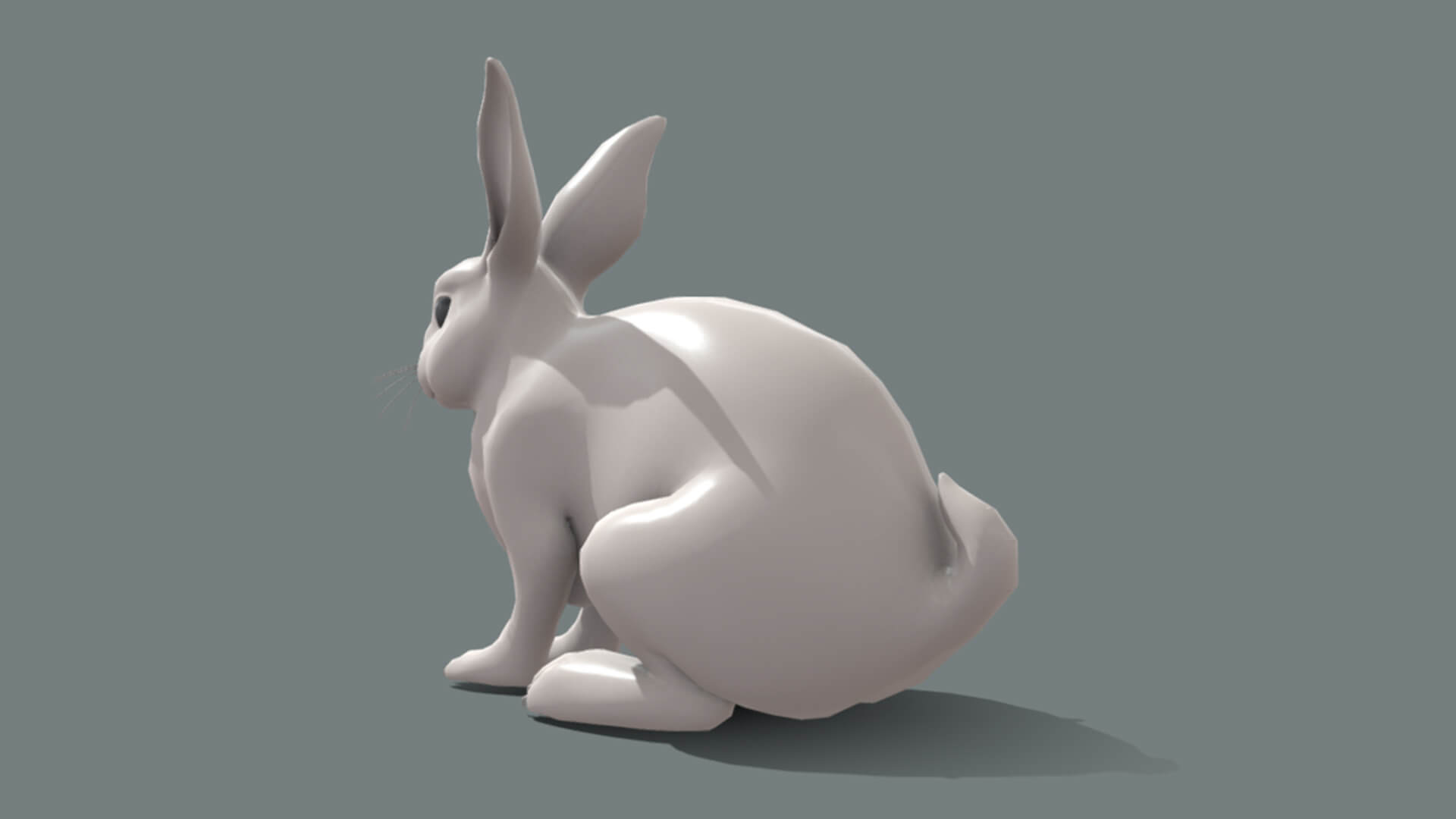 Rabbbit Model by Tsering