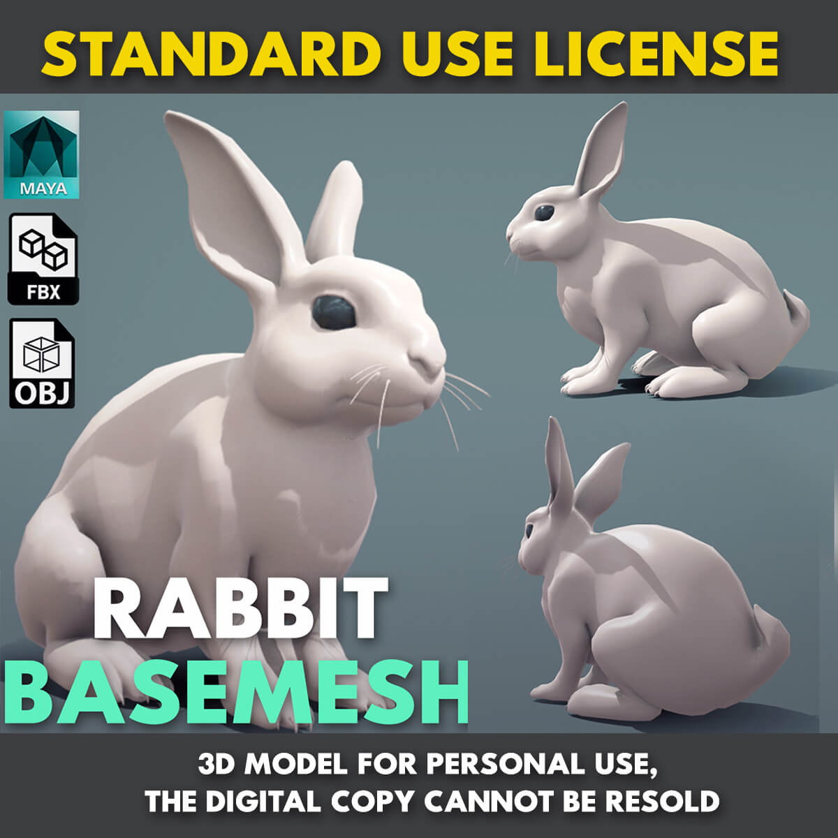 Rabbbit Model by Tsering