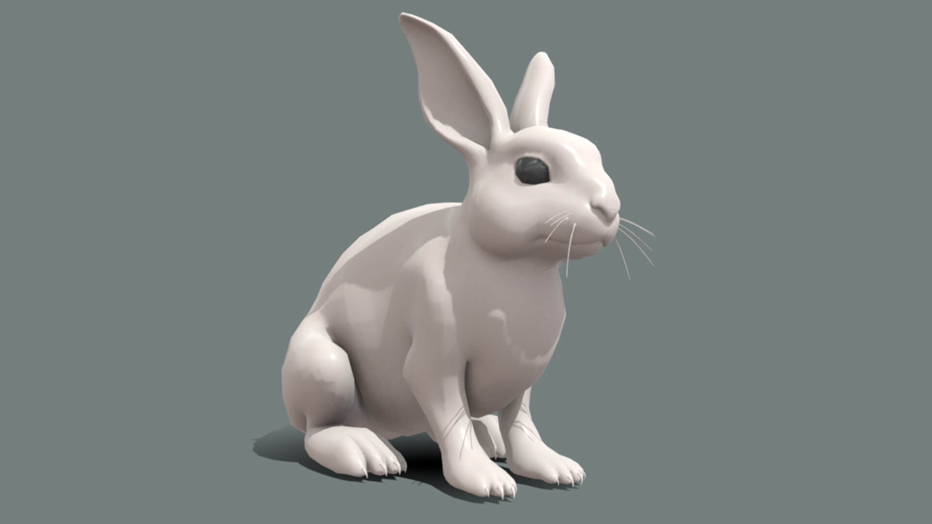Rabbbit Model by Tsering