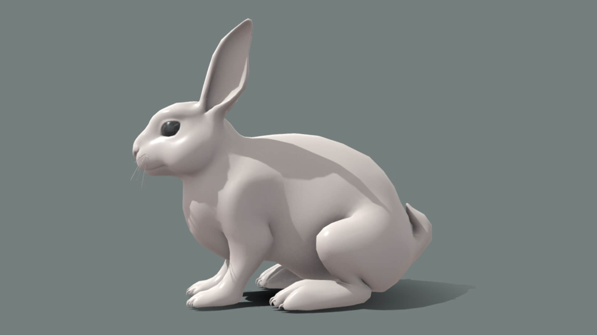 Rabbbit Model by Tsering