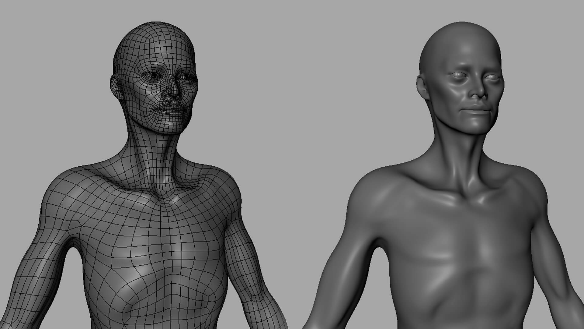 Thin Male Anatomy Basemesh - Topology + UV Map 3D Model by Tsering