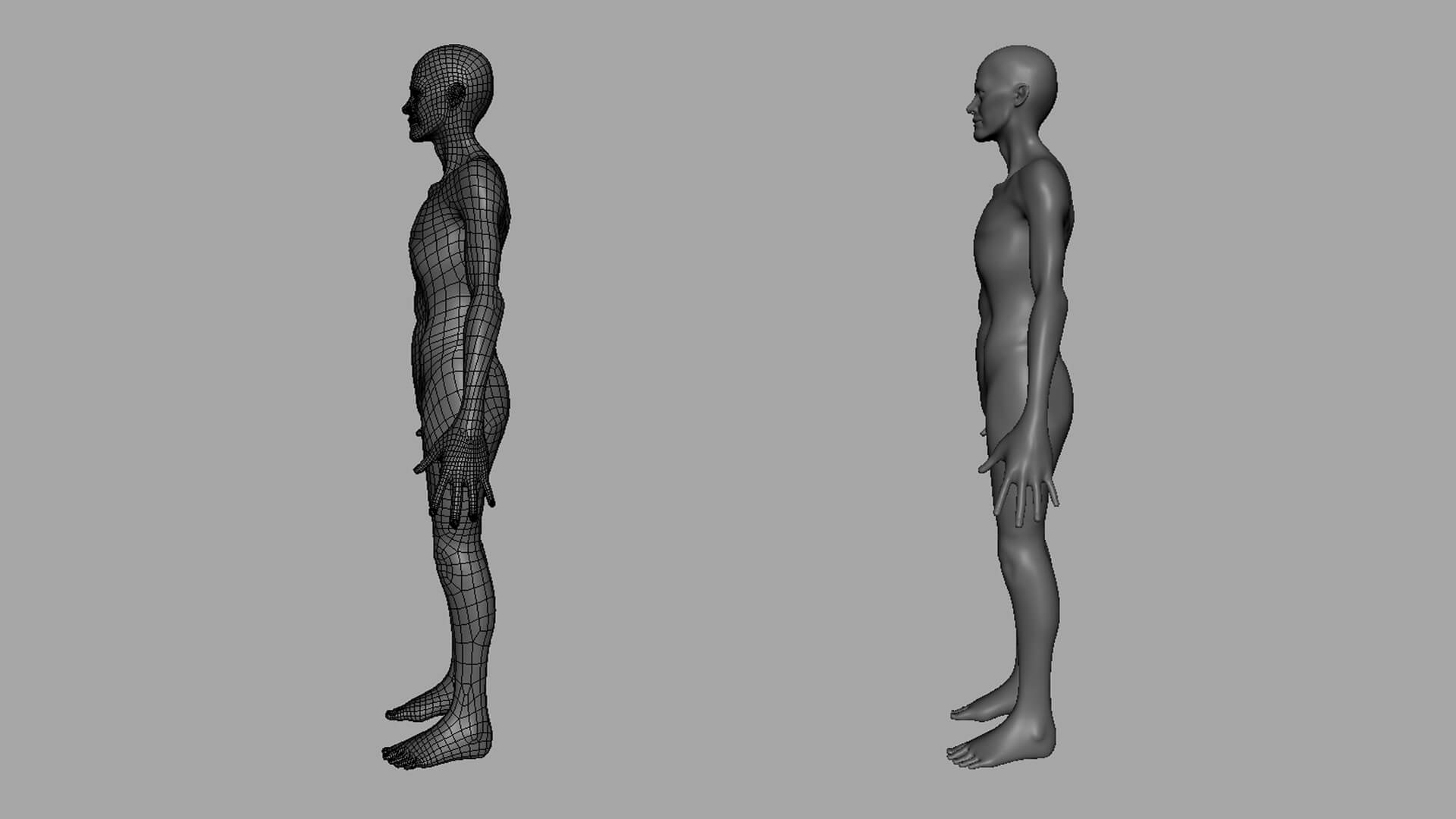 Thin Male Anatomy Basemesh - Topology + UV Map 3D Model by Tsering