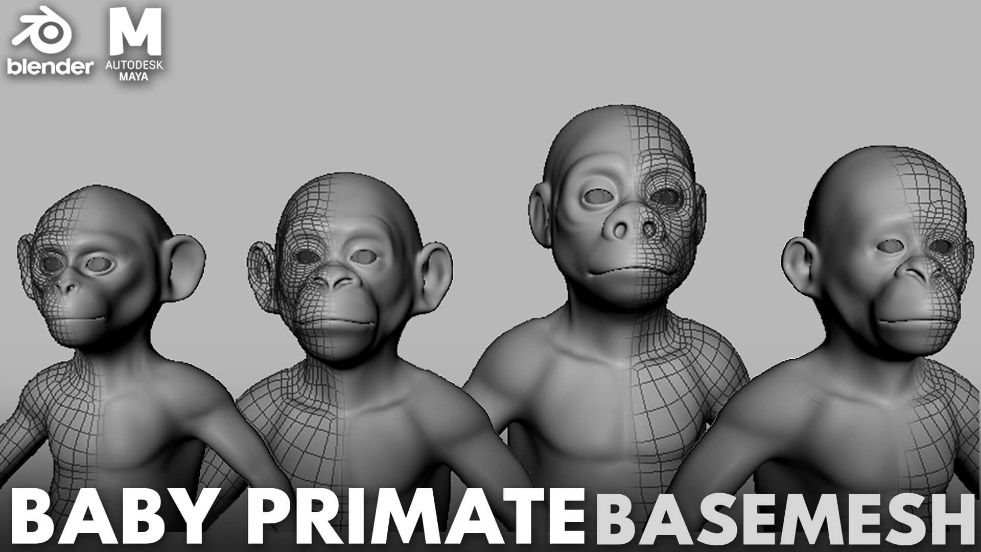 Ultimate Basemesh Collection - Topology + UV Map 3D Model by Tsering