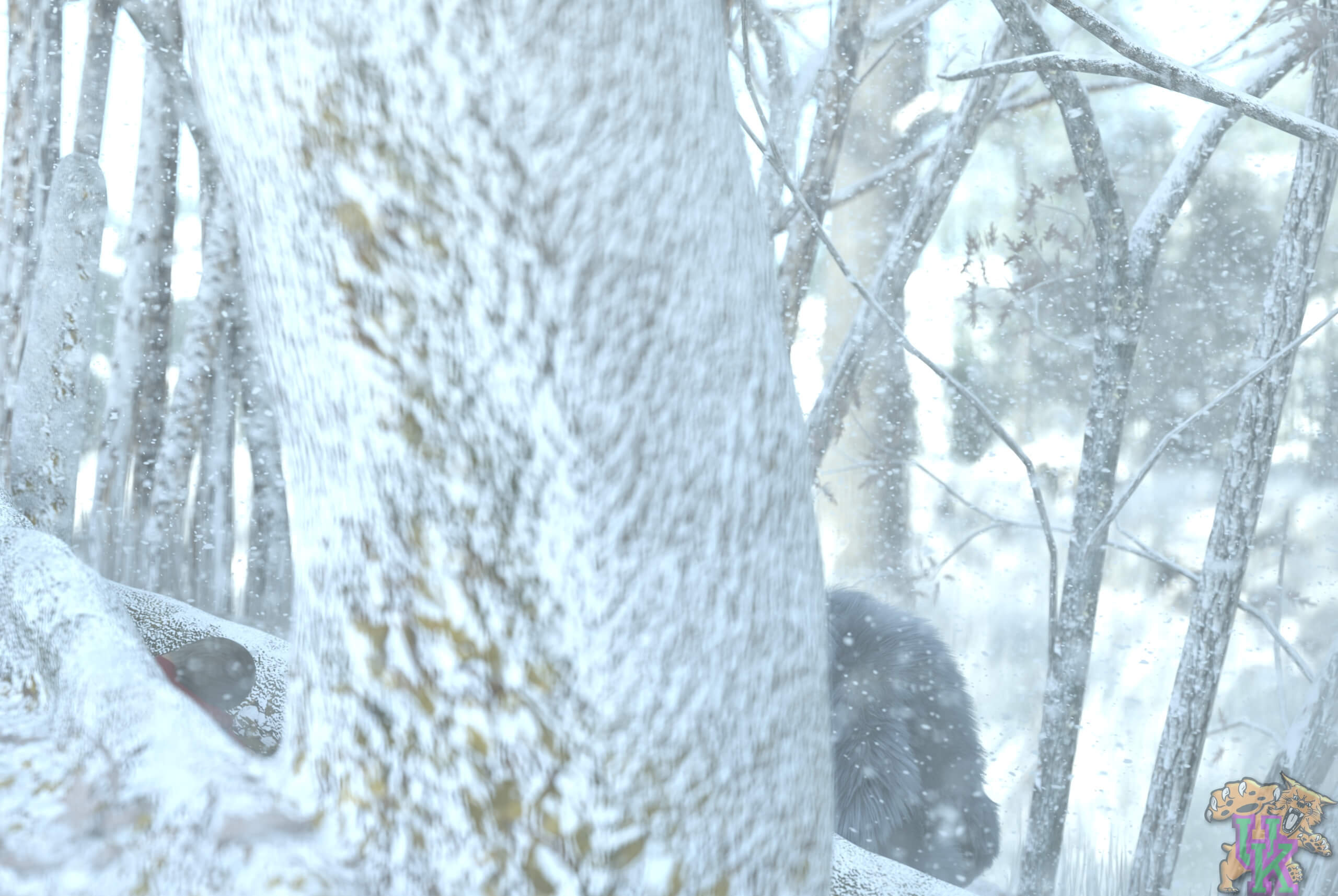 In the deep Forest (Part 1)... 3D Render, Digital Art by UdoK