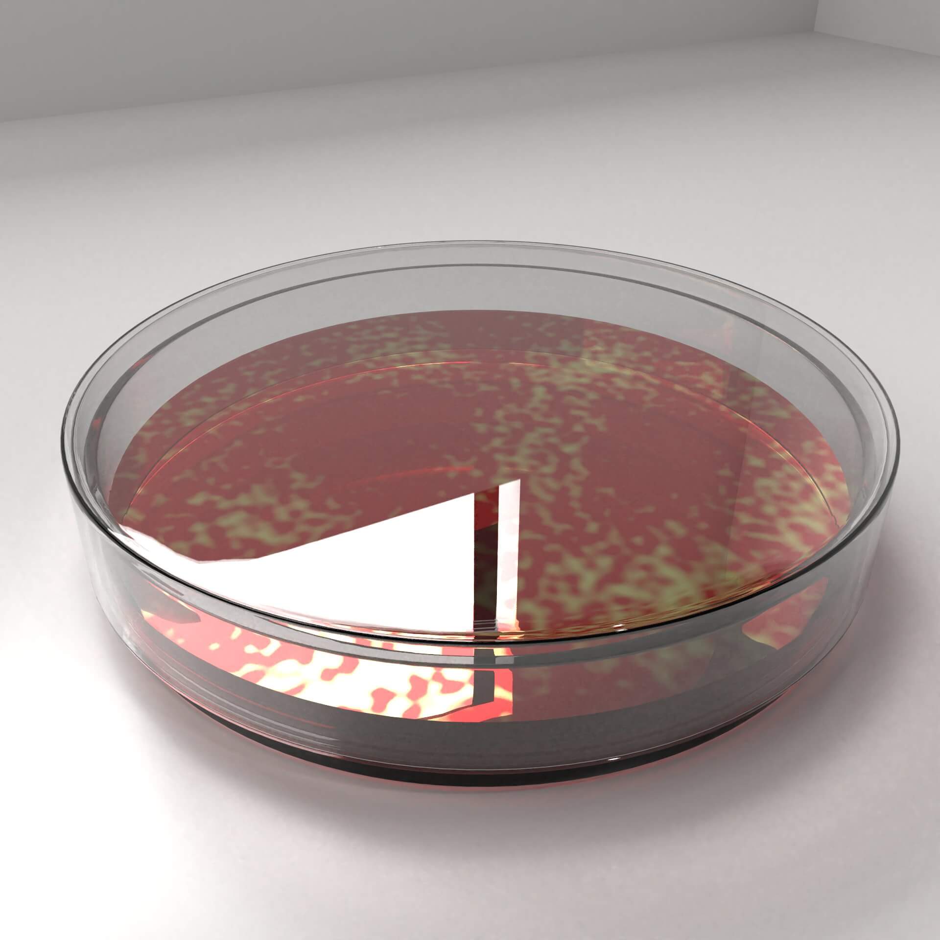 Glass Petri Dish With Agar And Bacteria 3D Model By Unos glass-petri-dish-with-agar-and-bacteria-3d-model-by-unos