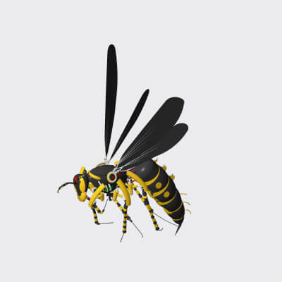 Wasp Robotic - 3D Model by URACAD