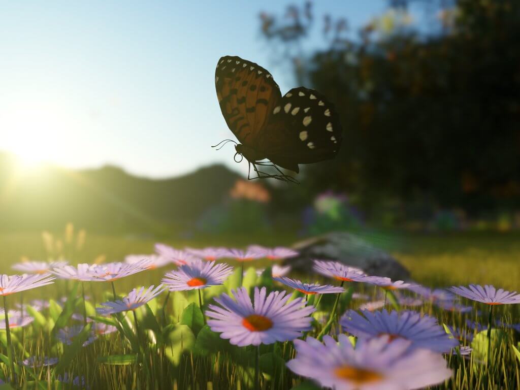 Butterly - 3D Model by Vaarg