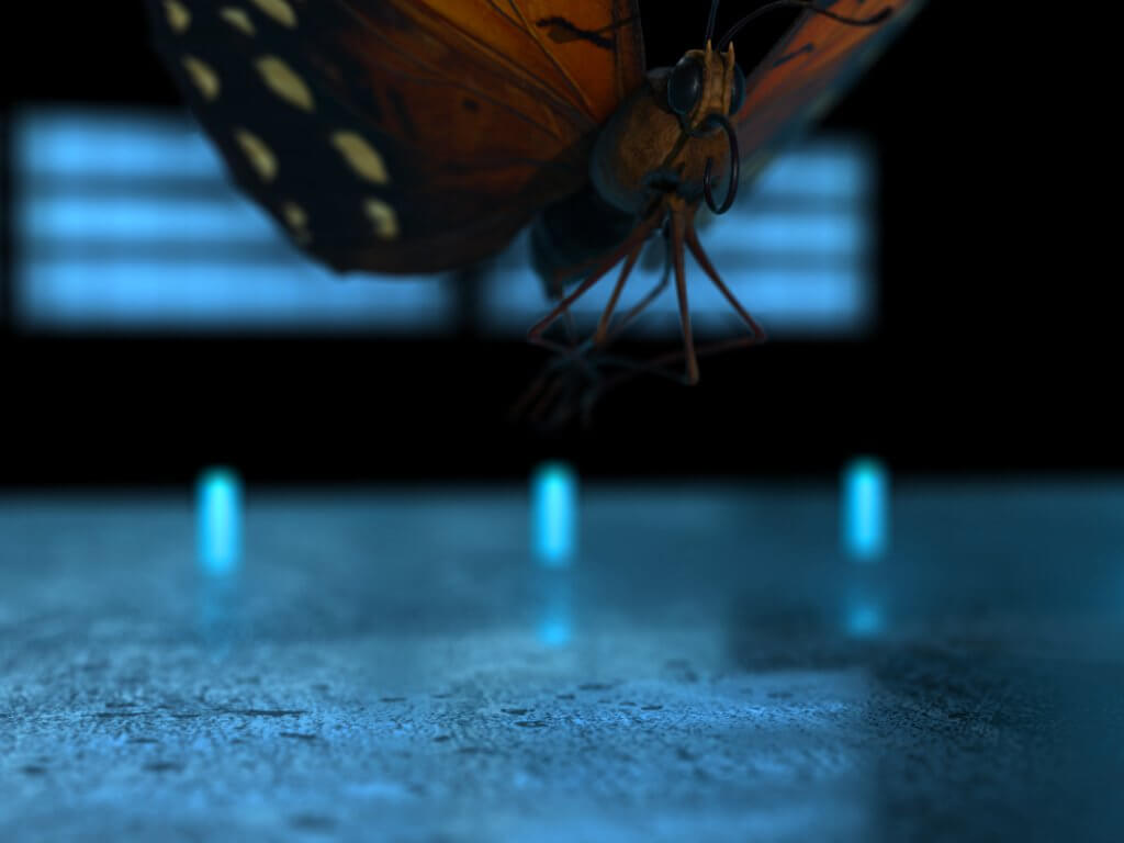 Butterly - 3D Model by Vaarg