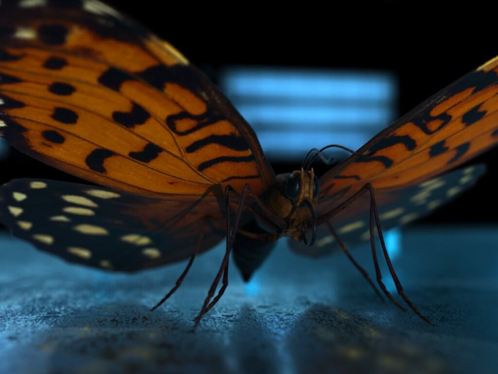 Butterly - 3D Model by Vaarg