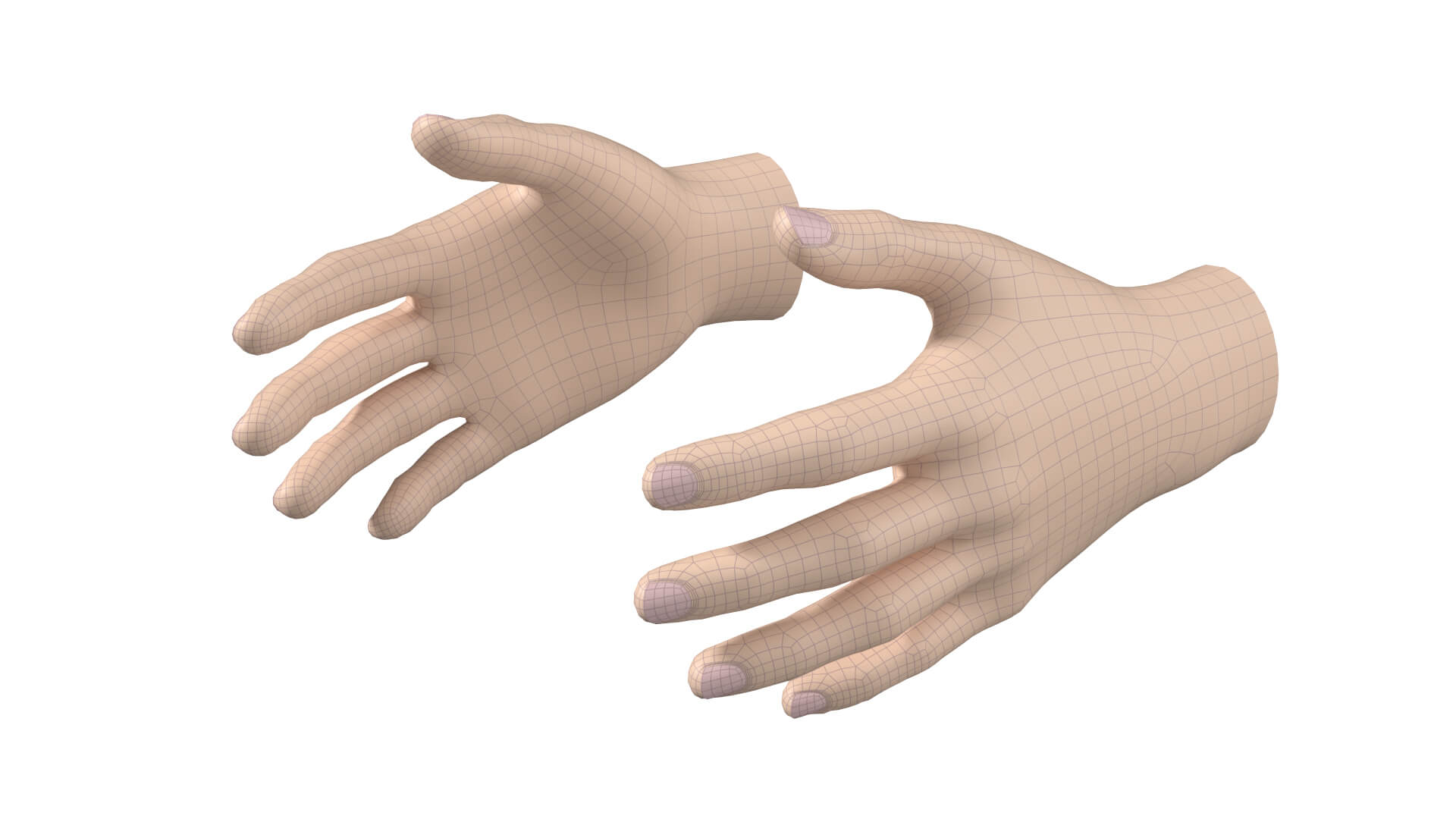 Female Hand Base Mesh 01 - 3D Model by Valerii-Kaliuzhnyi