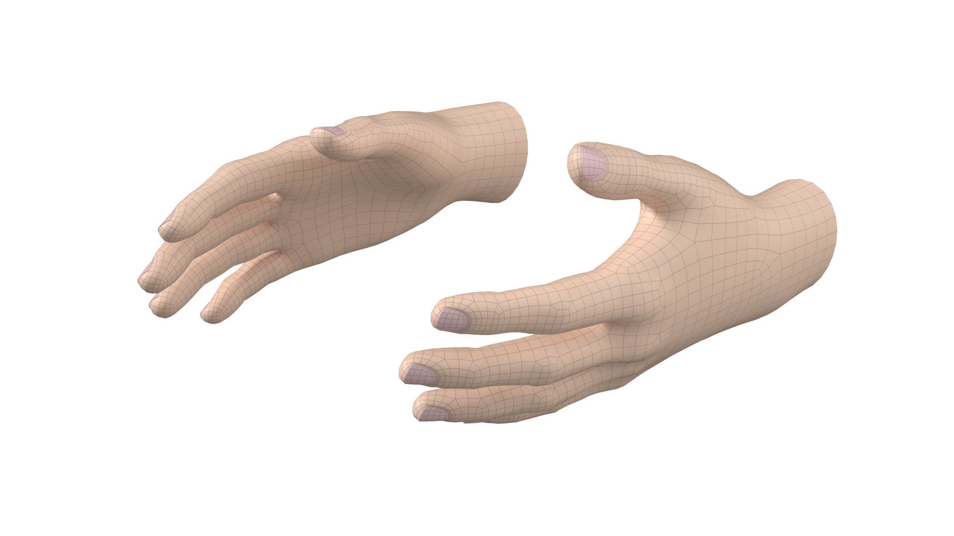 Female Hand Base Mesh 01 - 3D Model by Valerii-Kaliuzhnyi