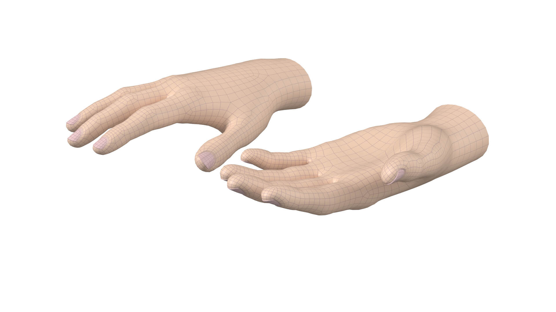 Female Hand Base Mesh 01 - 3D Model by Valerii-Kaliuzhnyi