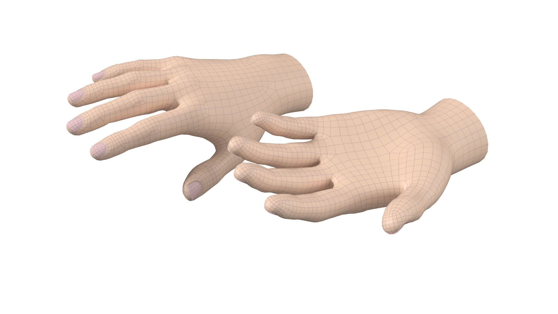 Female Hand Base Mesh 01 - 3D Model by Valerii-Kaliuzhnyi