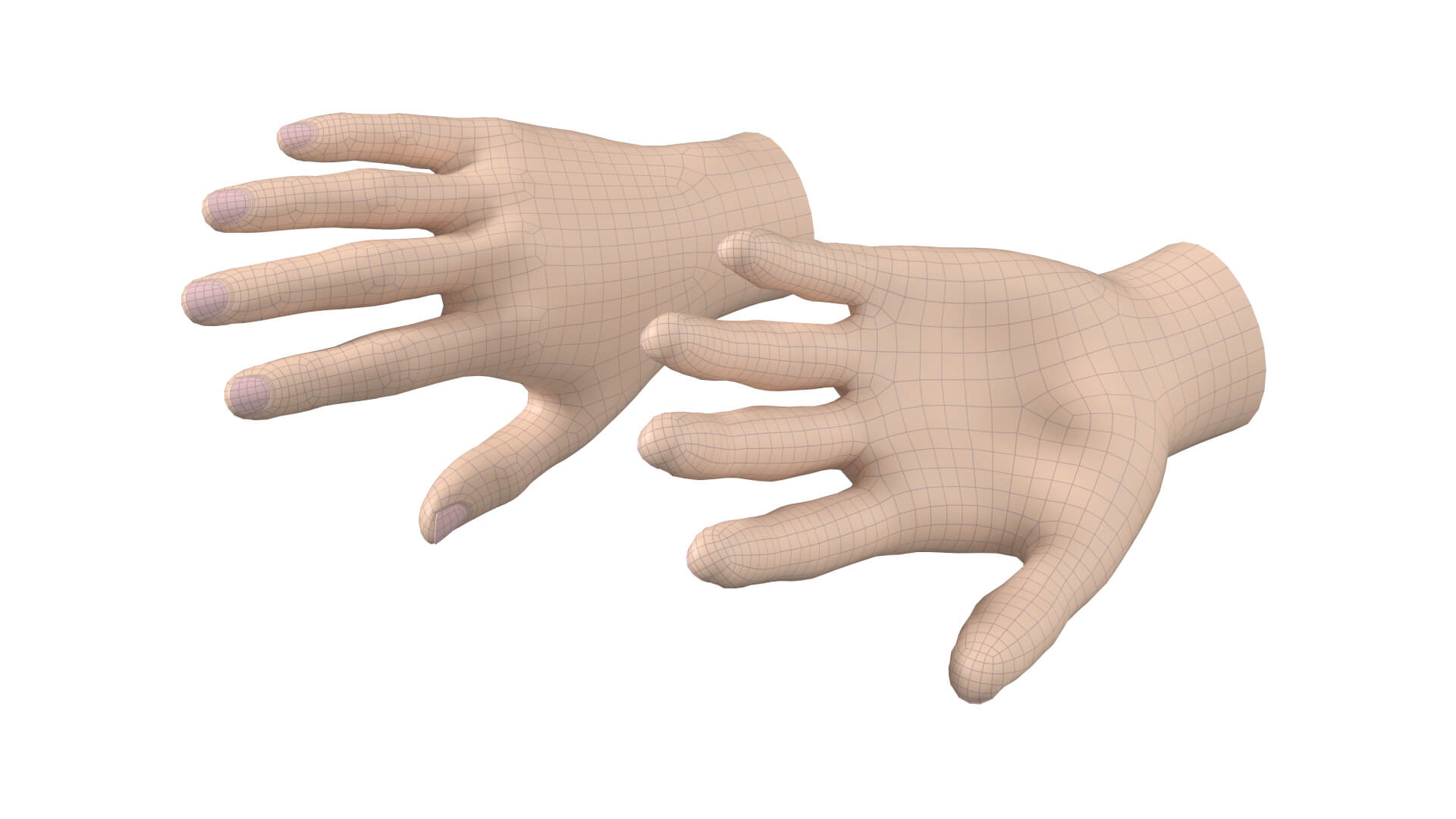 Female Hand Base Mesh 01 - 3D Model by Valerii-Kaliuzhnyi