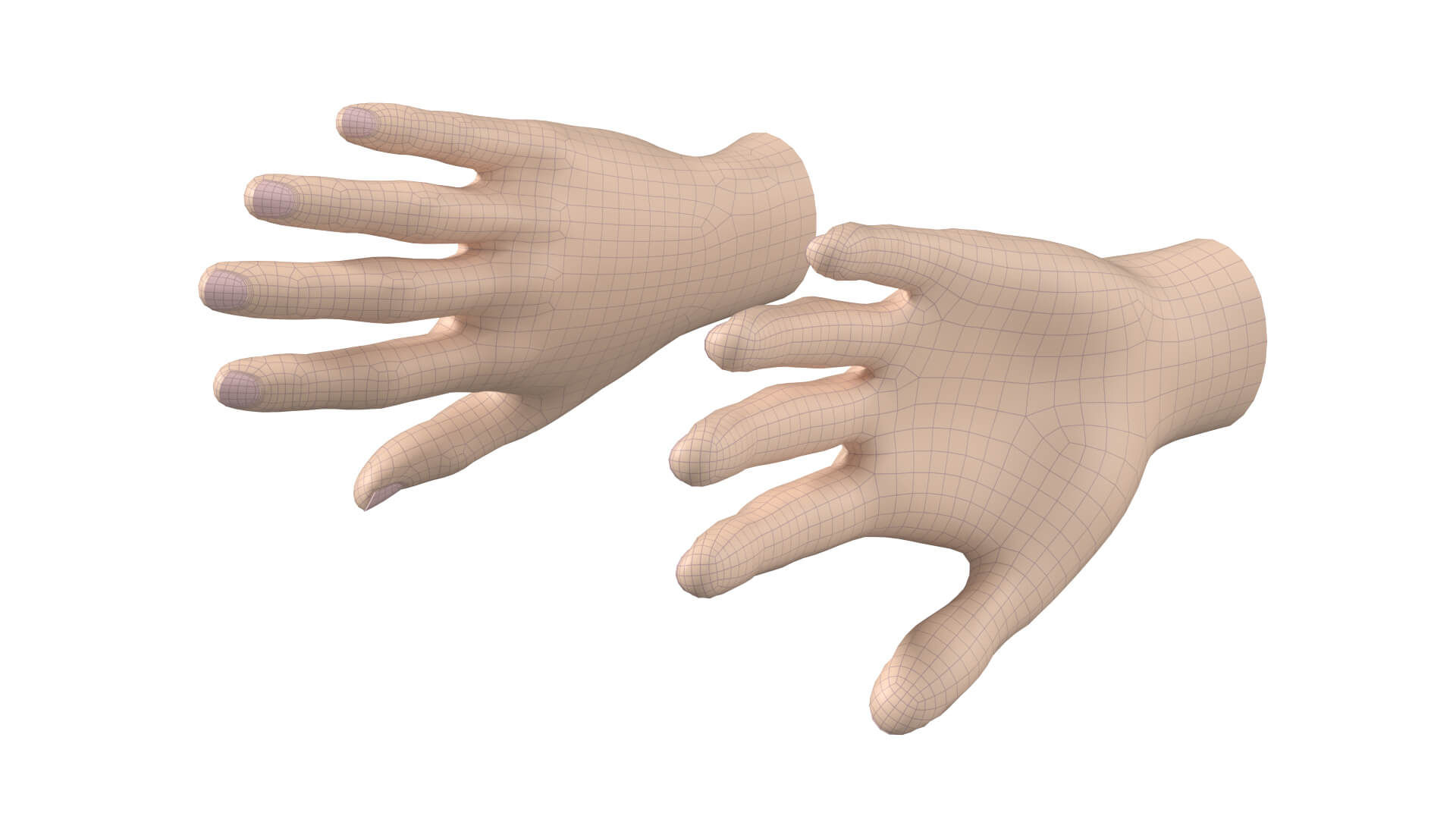Female Hand Base Mesh 01 - 3D Model by Valerii-Kaliuzhnyi