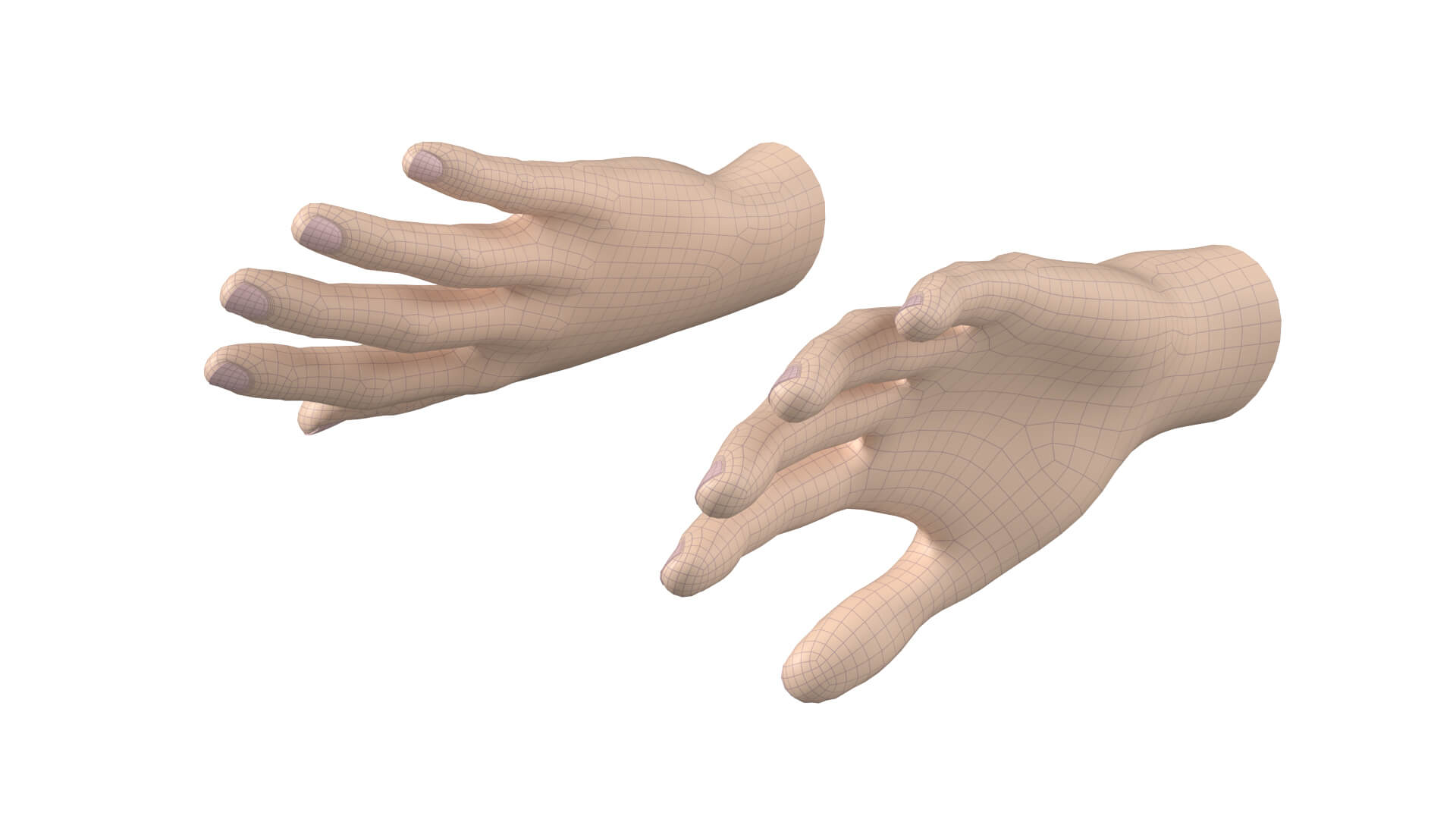 Female Hand Base Mesh 01 - 3D Model by Valerii-Kaliuzhnyi