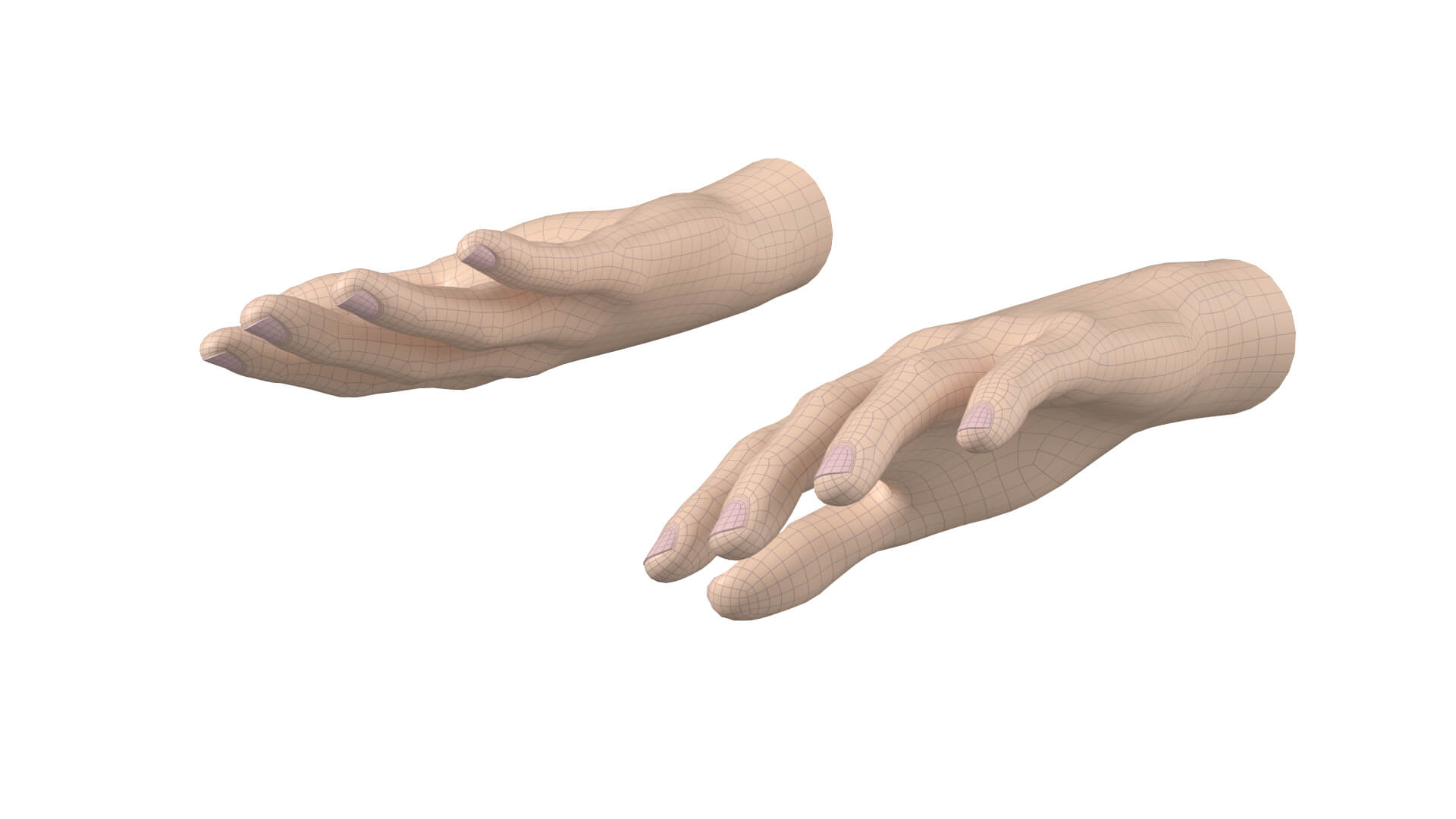 Female Hand Base Mesh 01 - 3D Model by Valerii-Kaliuzhnyi