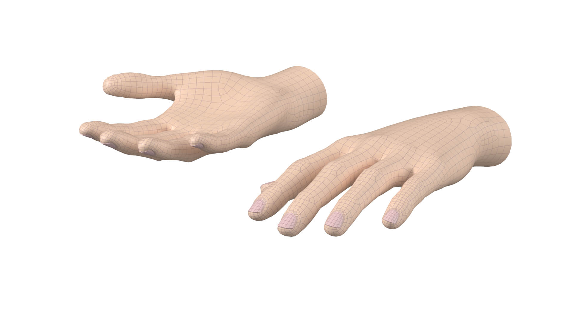 Female Hand Base Mesh 01 - 3D Model by Valerii-Kaliuzhnyi