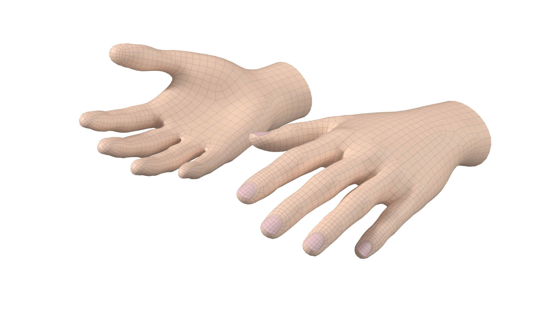 Female Hand Base Mesh 01 - 3D Model by Valerii-Kaliuzhnyi