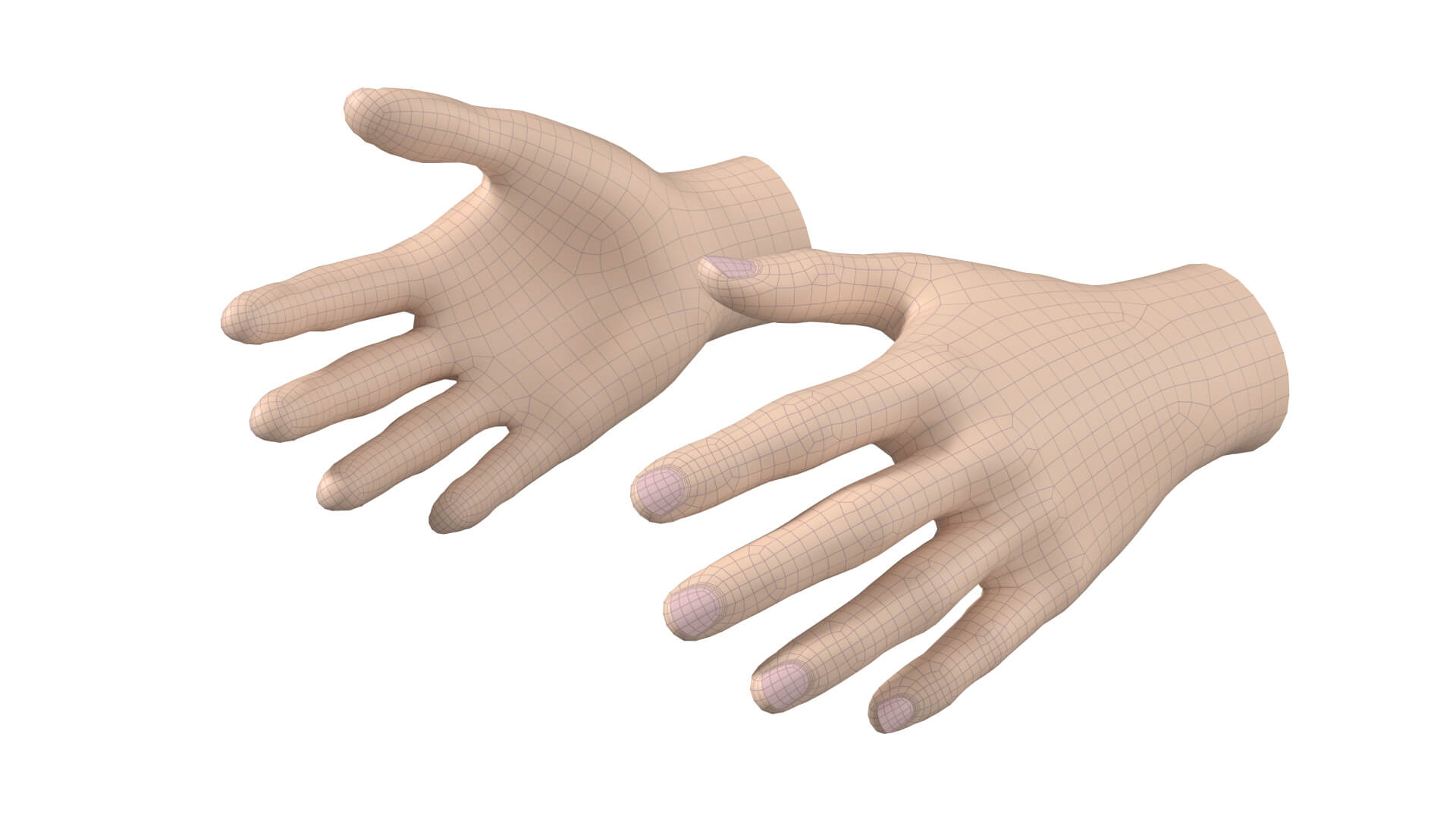 Female Hand Base Mesh 01 - 3D Model by Valerii-Kaliuzhnyi